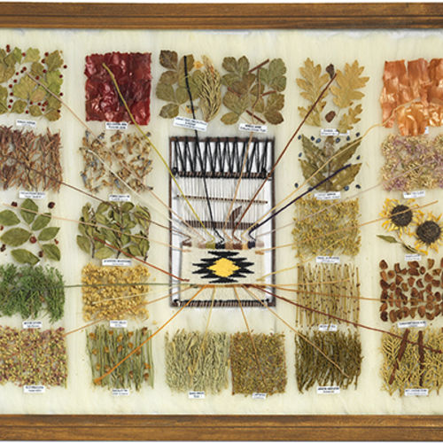 Dyeing with Plants - Bard Graduate Center