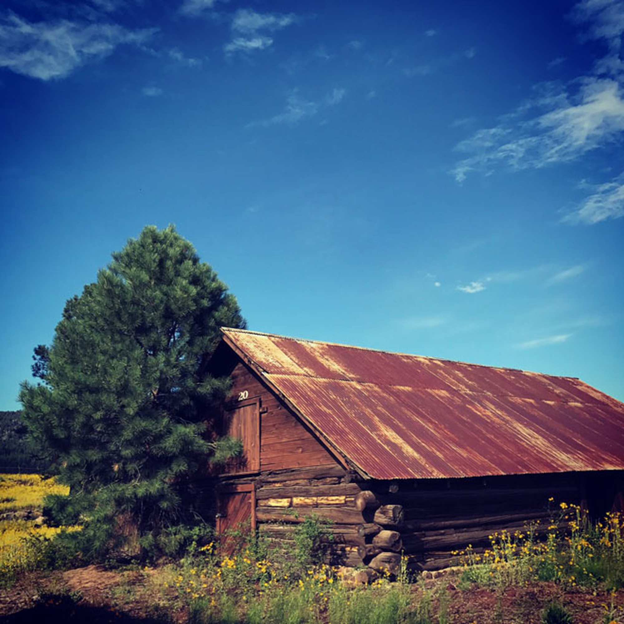 A Trip to the Southwest - Bard Graduate Center